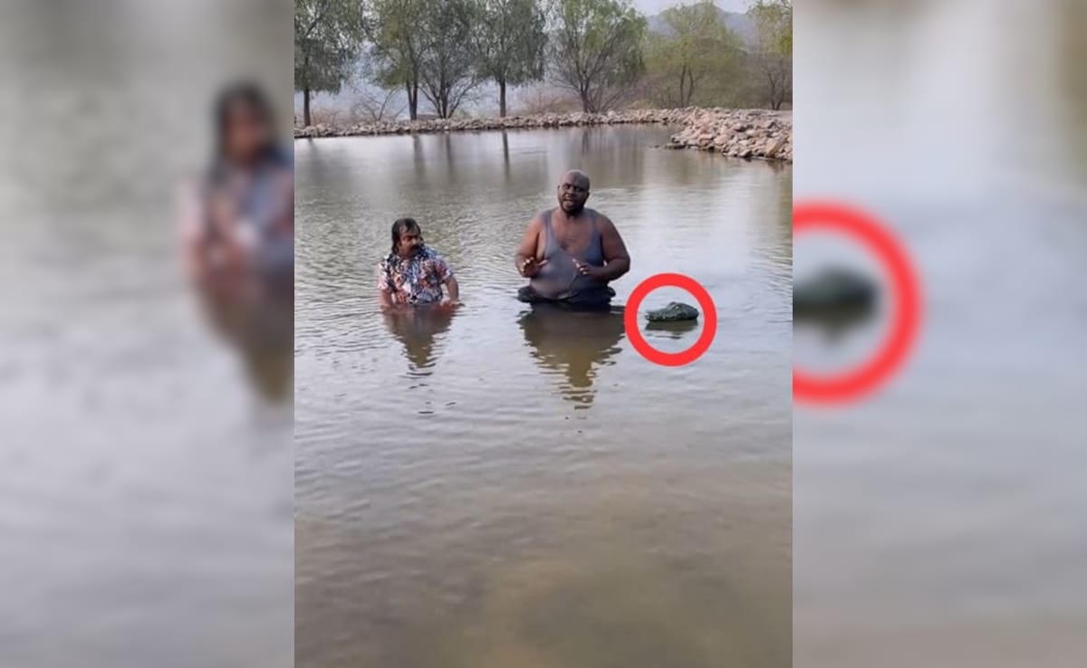 पानी में मजे से नहा रहे थे 2 दोस्त, तभी पीछे से आ धमका मगरमच्छ, वीडियो ...