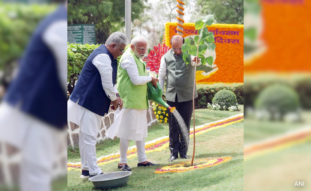 PM Narendra Modi Urges Indian Olympians To Join 'Ek Ped Maa Ke Naam ...