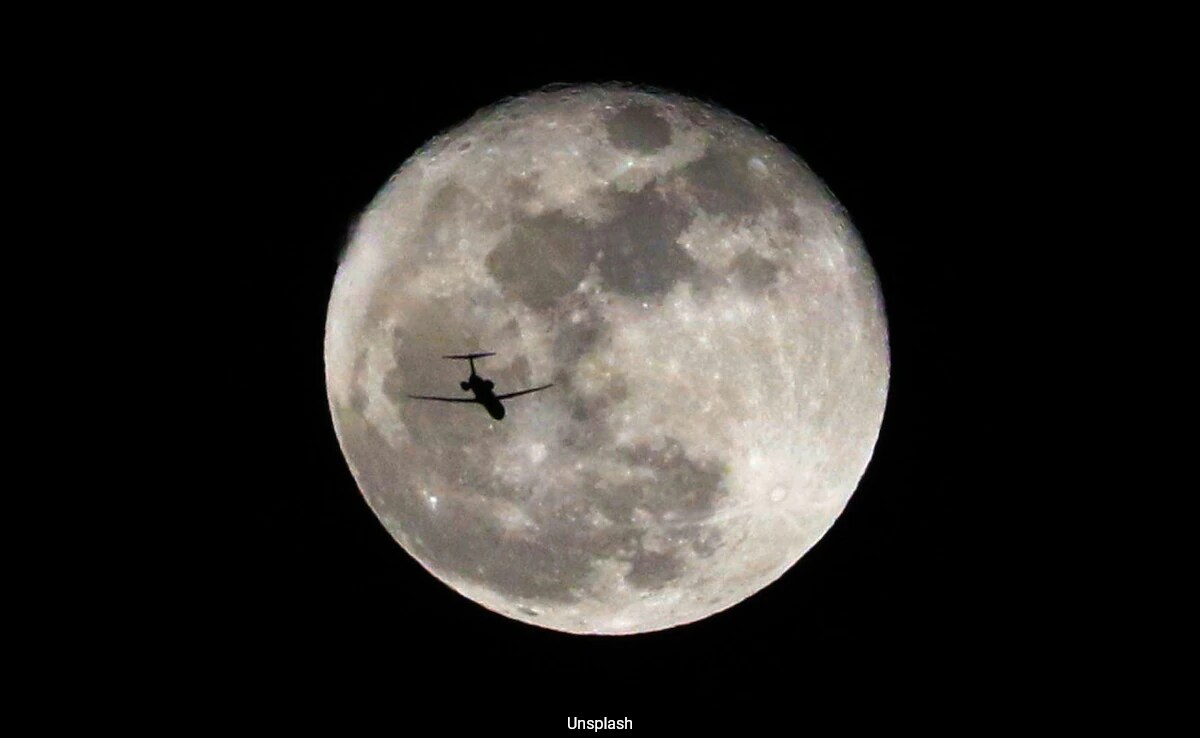 Earth's Endangered Species Might Be Sent To The Moon In 'Noah's Ark' To ...