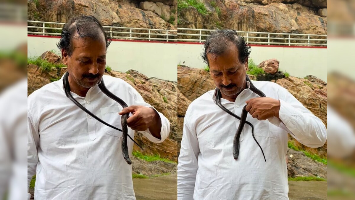 Rajasthan: गले में सांप लटकाकर पहाड़ों पर घूमते दिखे राजेंद्र गुढ़ा ...