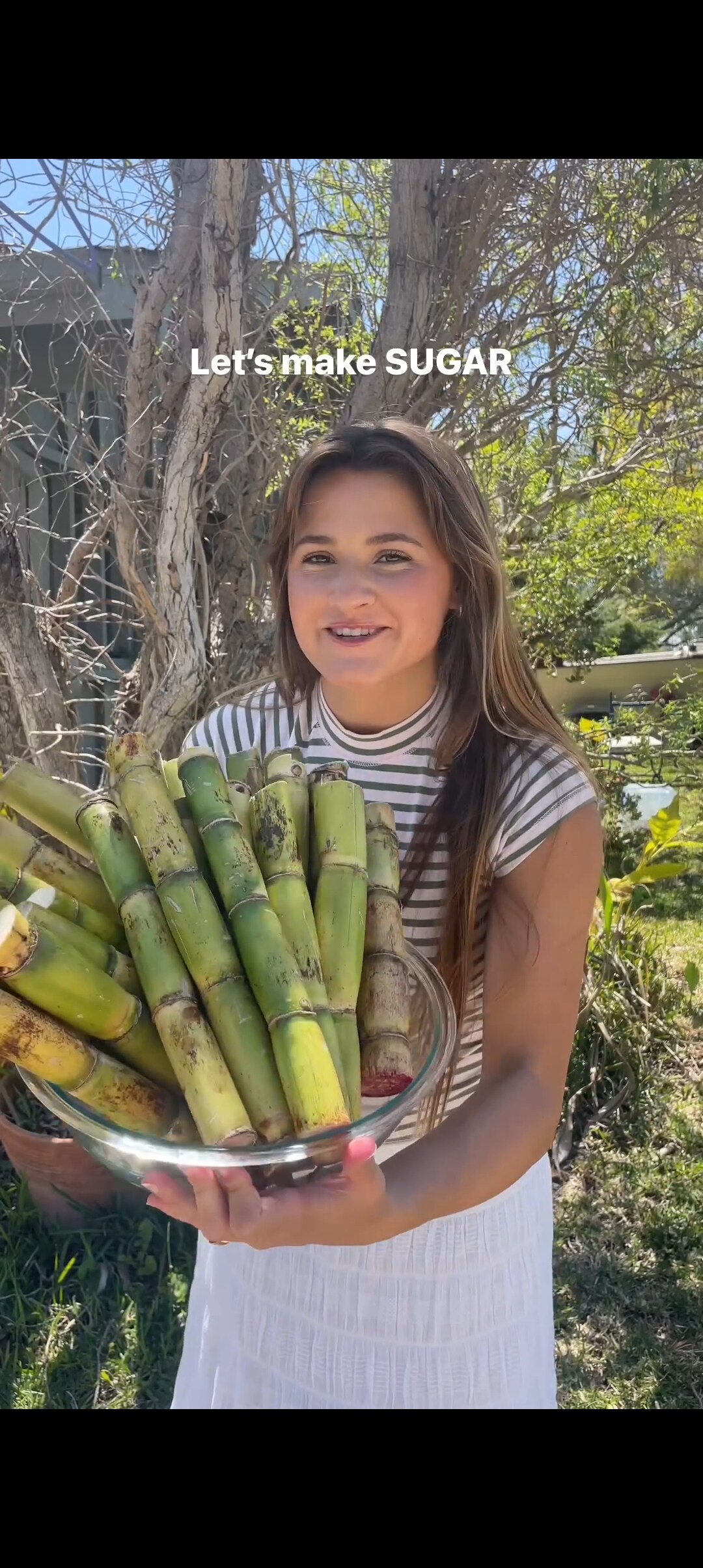 Sugarcane Into Jaggery | Know All About Sugarcane Into Jaggery at NDTV Food