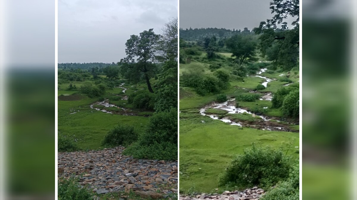 भारी बारिश लेकिन फिर भी छत्तीसगढ़ का ये बाँध खाली ! अब किसानों को सता ...