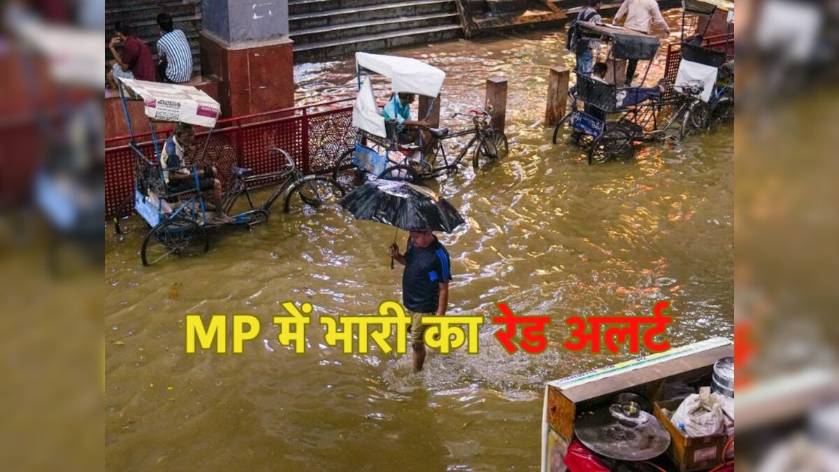 MP Rain Alert: मध्य प्रदेश के 12 जिलों में भारी बारिश का रेड अलर्ट, कहां कितनी हुई बारिश? यहां ...
