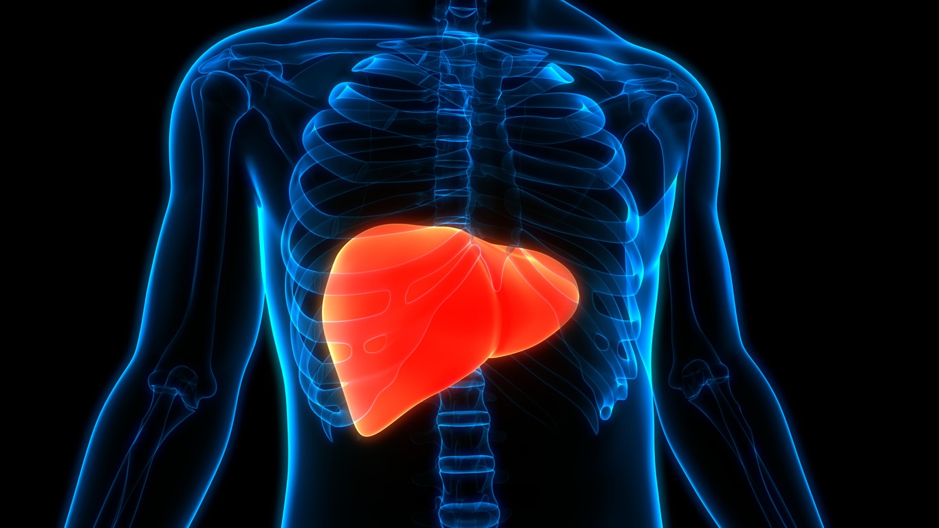 Liver | Know All About Liver at NDTV Food