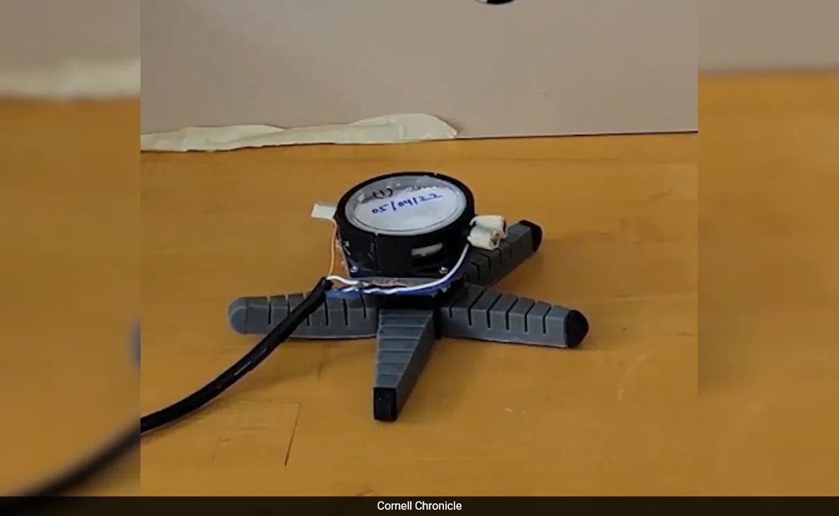 Scientists Create Hybrid Robot Combining Fungus And Machine