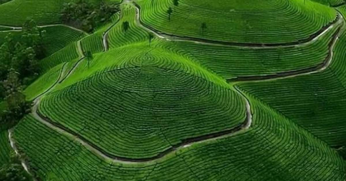 5 Scenic Hill Stations In The World