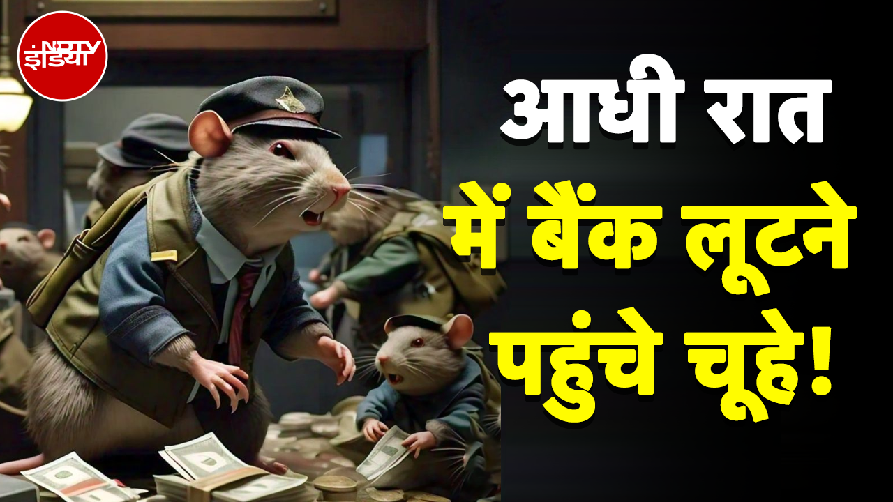 Rats Loot In Bank: आधी रात में बैंक लूटने पहुंचे चूहे! अलार्म बजा तो ...