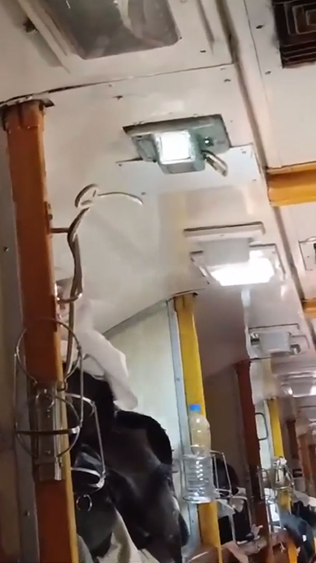 Snake In A Train Going To Mumbai, Passengers Run From Their Seats