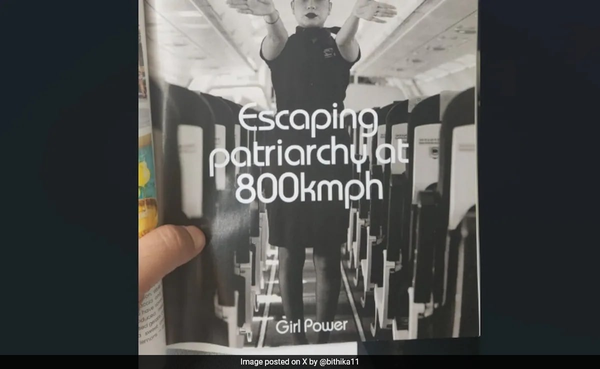 "Forcing Young Women To...": IndiGo's "Girl Power" Ad Faces Backlash