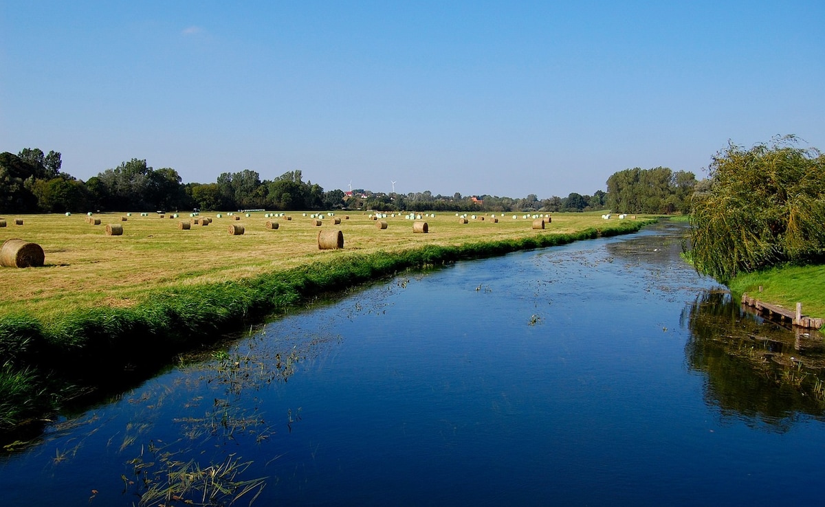 Mystery Of 3,000-Year-Old Battle Unfolds In Germany's Tollense River Valley