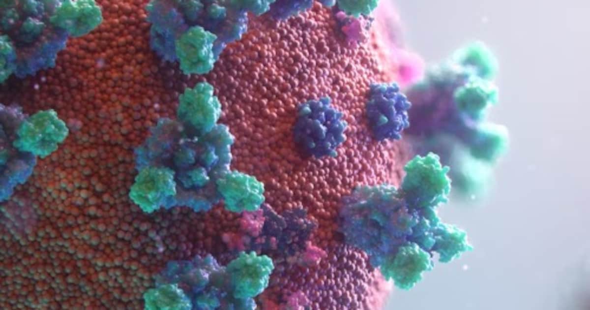 All About New Covid Variant XEC