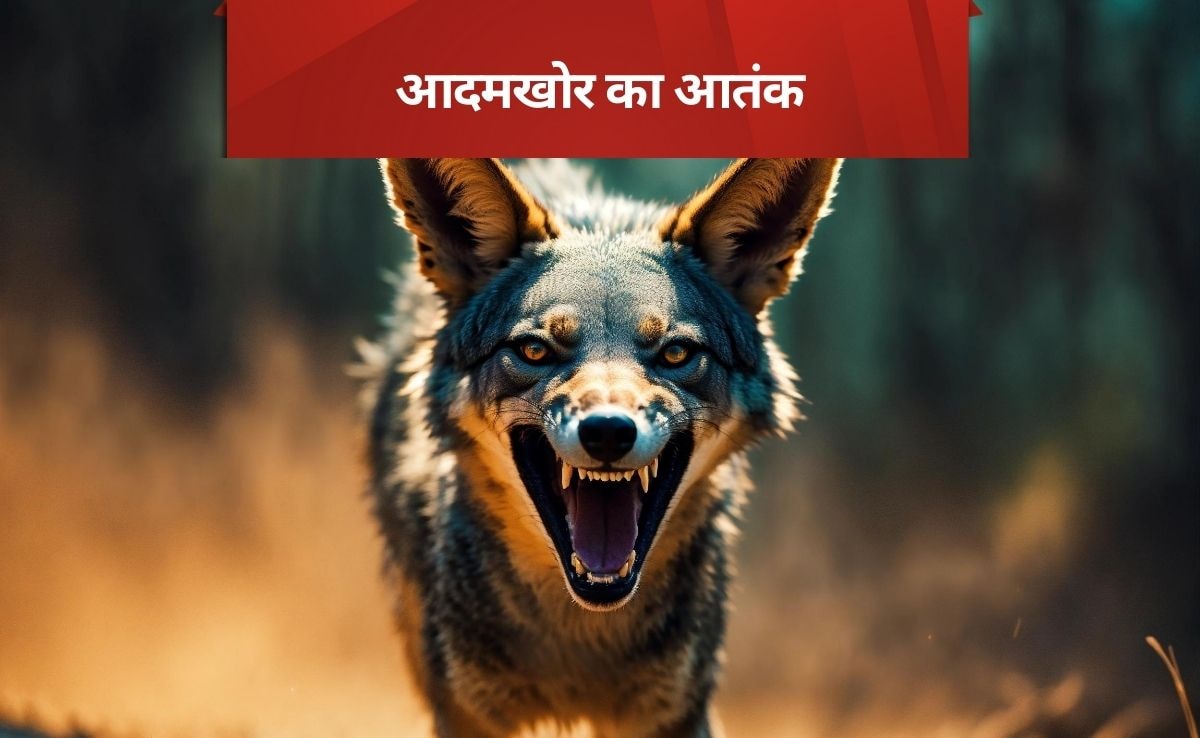 Animal Bites First Aid: भेड़िए या जंगली जानवर के हमले के बाद या जनवारों ...
