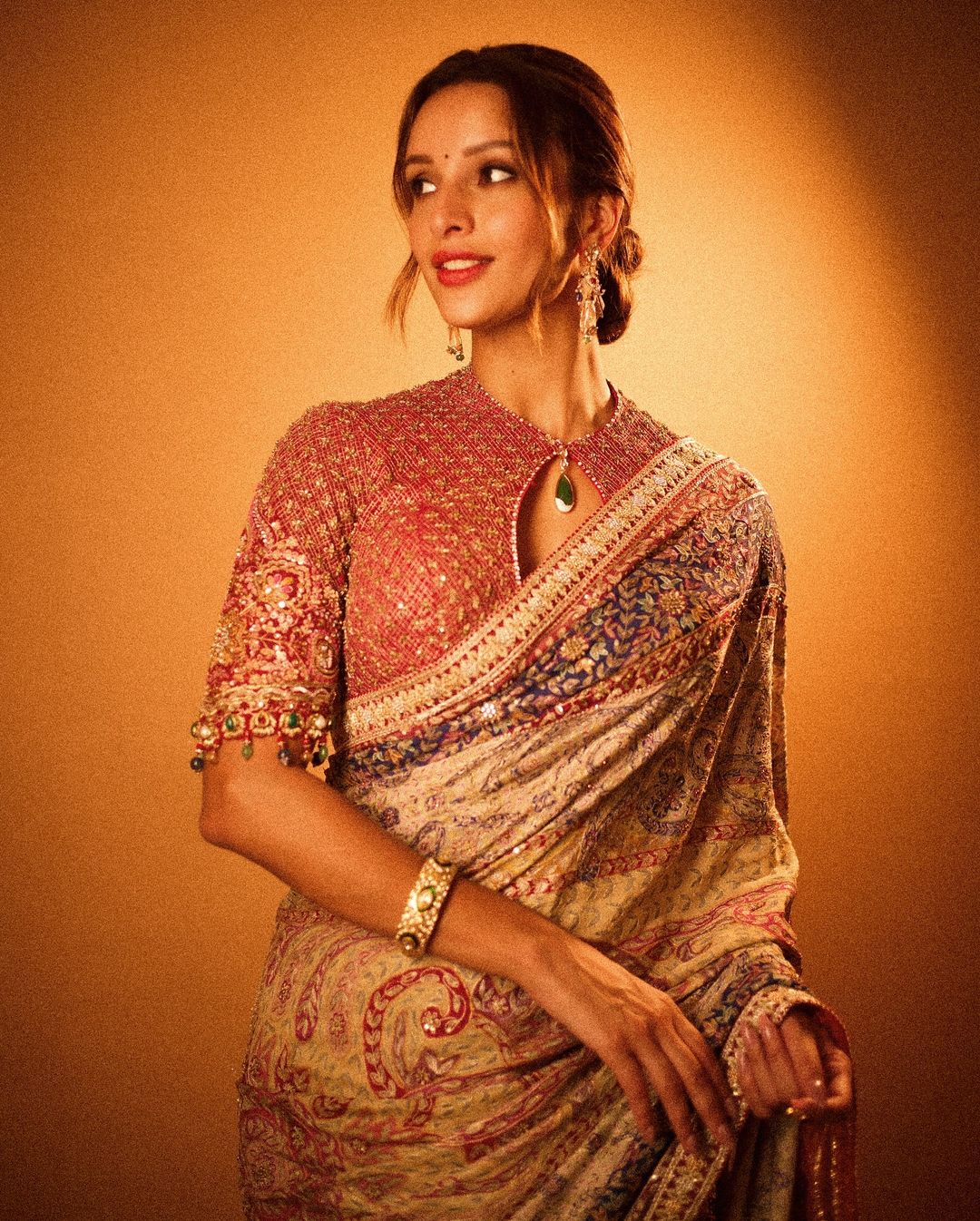 Triptii Dimri's Ethnic Looks