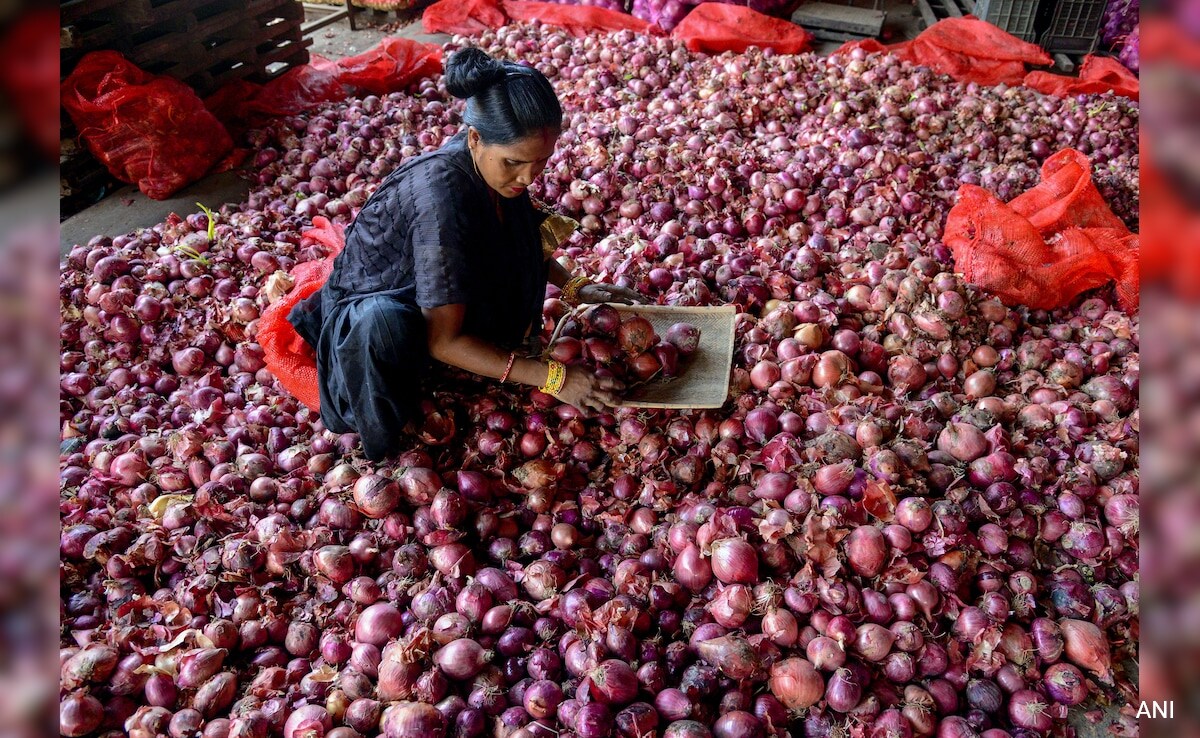 Centre Slashes Export Duty On Onion To 20 percent