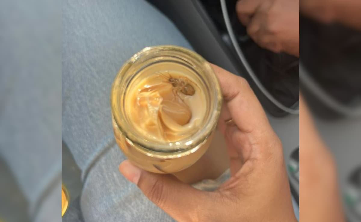 दिल्ली के मशहूर कैफे की Coffee में तैरता मिला कॉकरोच, सोशल मीडिया पर ...