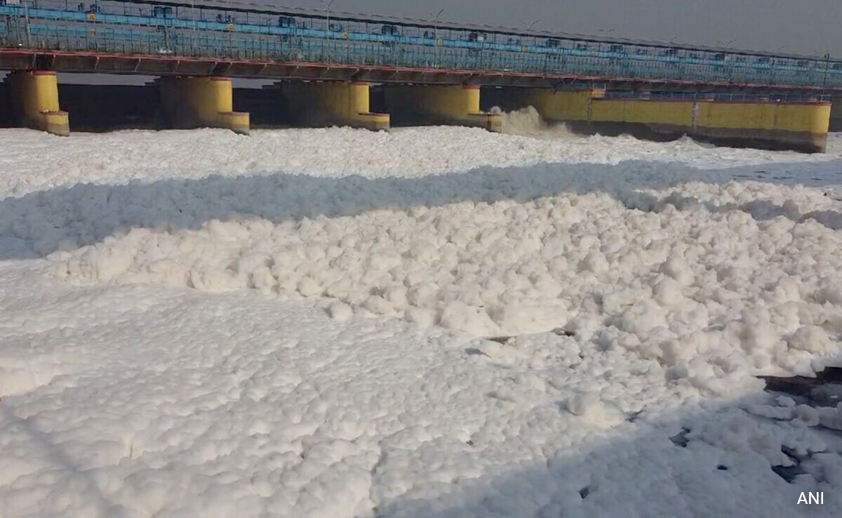 new delhi Yamuna river Thick layer of foam water become toxic what ...