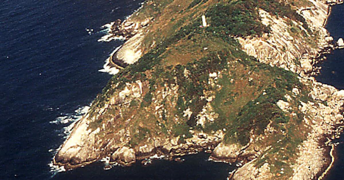 All About Brazil's Snake Island