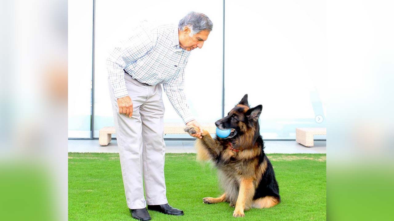 Niira Radia Recounts When Ratan Tata's Dog Went Missing On Marine Drive