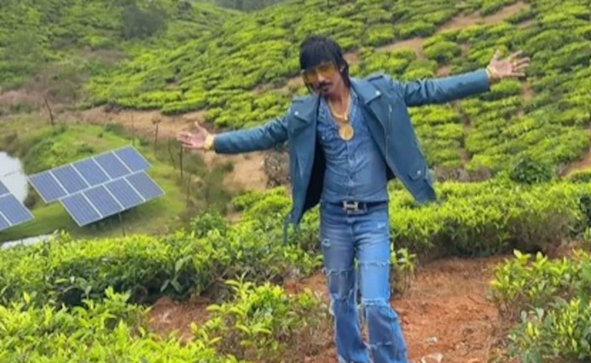 Dolly Ki Tapri Nagpur Video: चाय के बागान में शाहरुख खान बना ये चायवाला ...