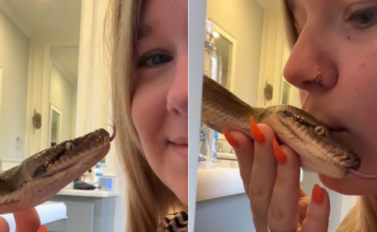 अजगर को प्यार से Kiss करती दिखी महिला, फिर सांप को ऐसे किया खूब दुलार ...