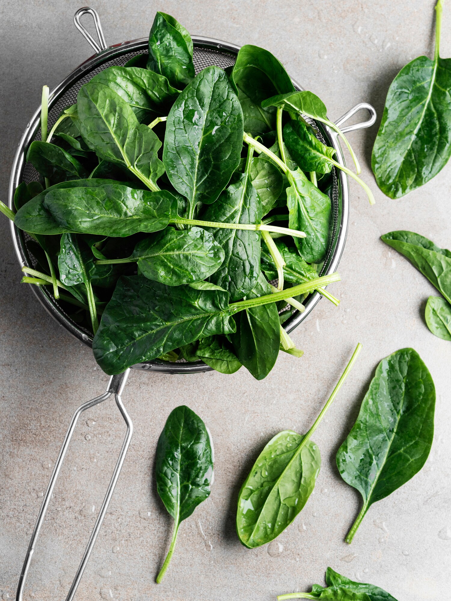 5 Tips To Keep Spinach (Palak) Fresh Longer
