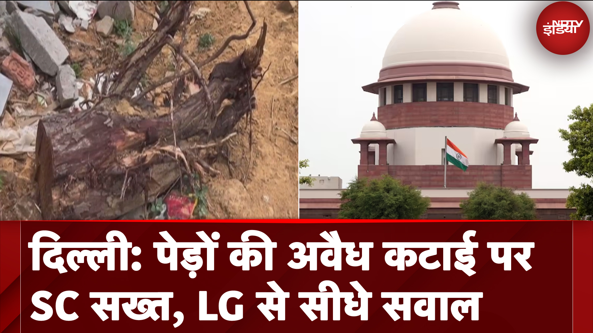 Delhi Ridge में पेड़ों की अवैध कटाई पर Supreme Court ने दिखाई सख्ती