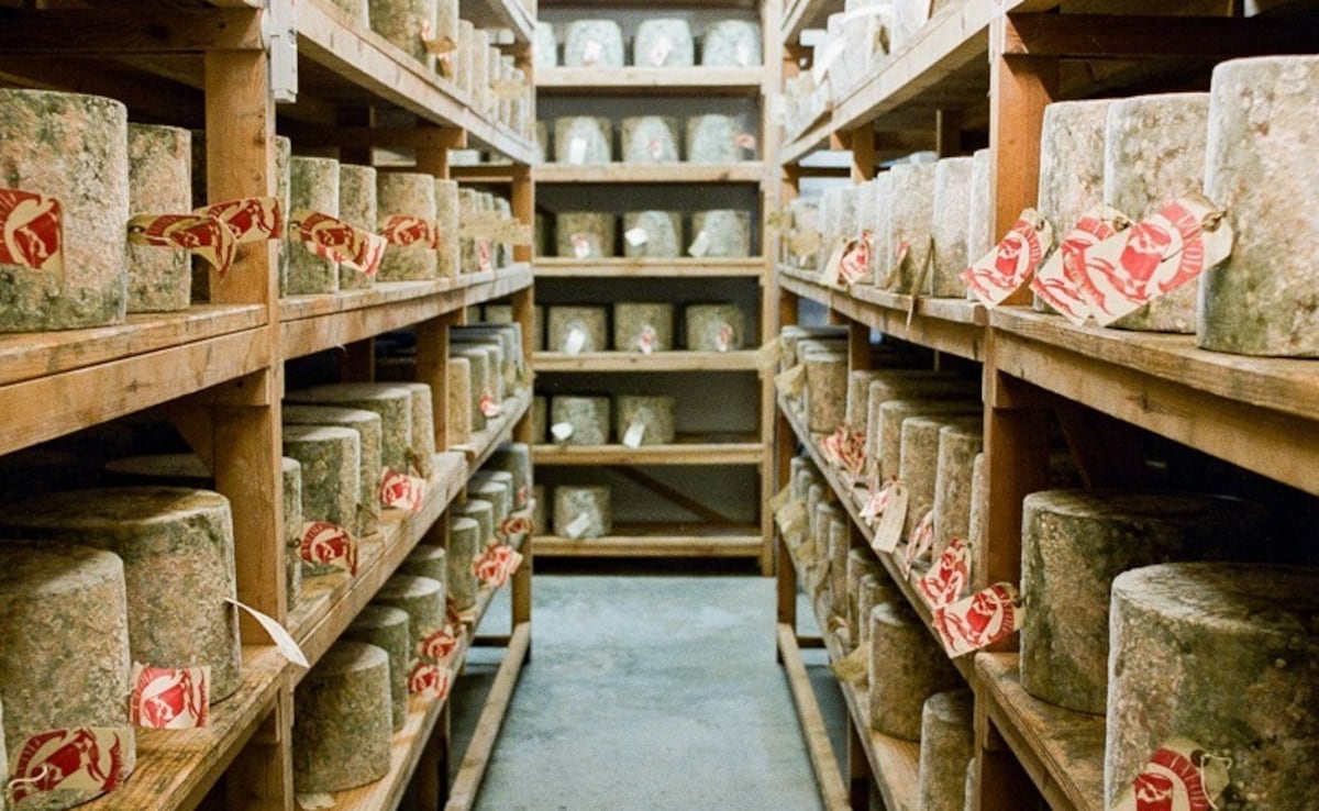 "Grate Cheese Robbery" - London Dairy Thankful For Support After Being ...