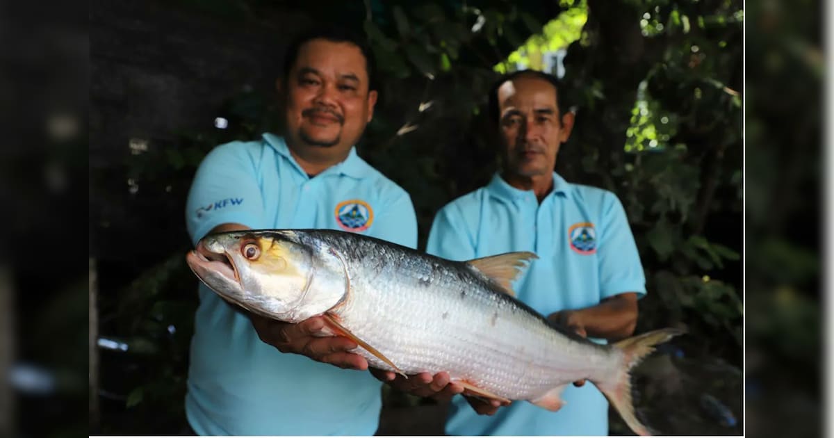 Once Feared Extinct, This Fish Reappears After 2 Decades