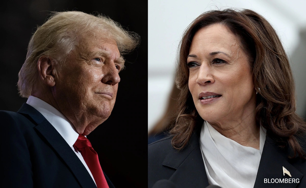 US Presidential Elections: Kamala Harris, Donald Trump Battle For Swing ...
