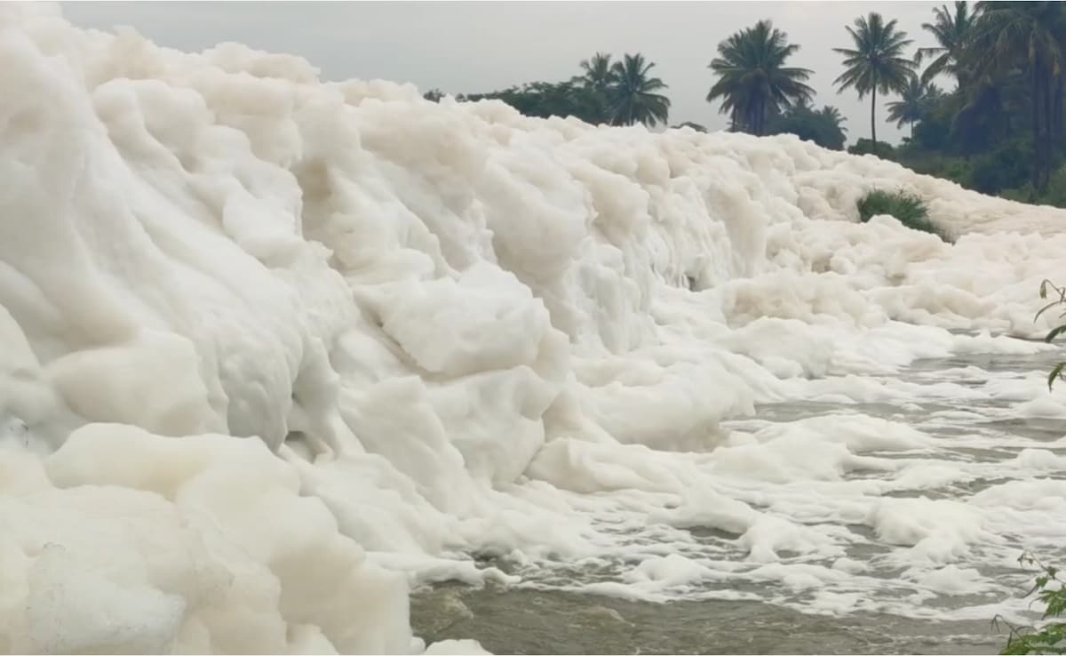Toxic Foam Appears On Road Near Bengaluru After Heavy Rain