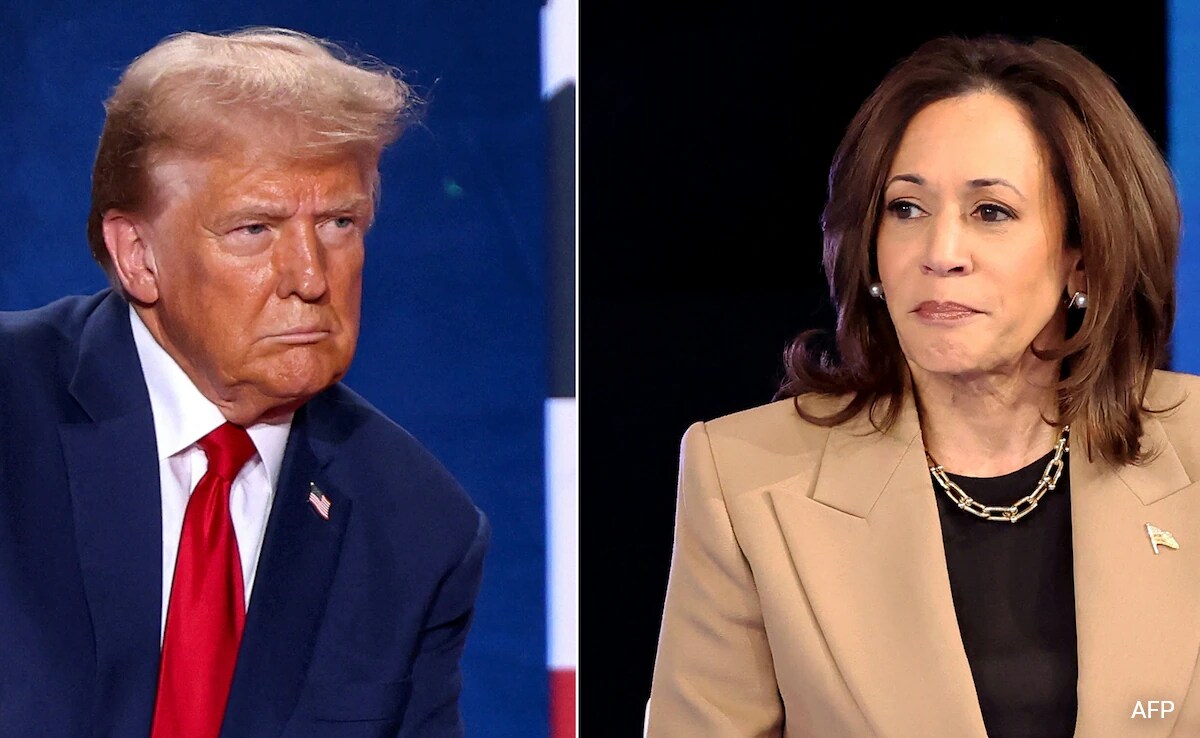 US Presidential Elections 2024: 7 Key States That May Decide Kamala ...