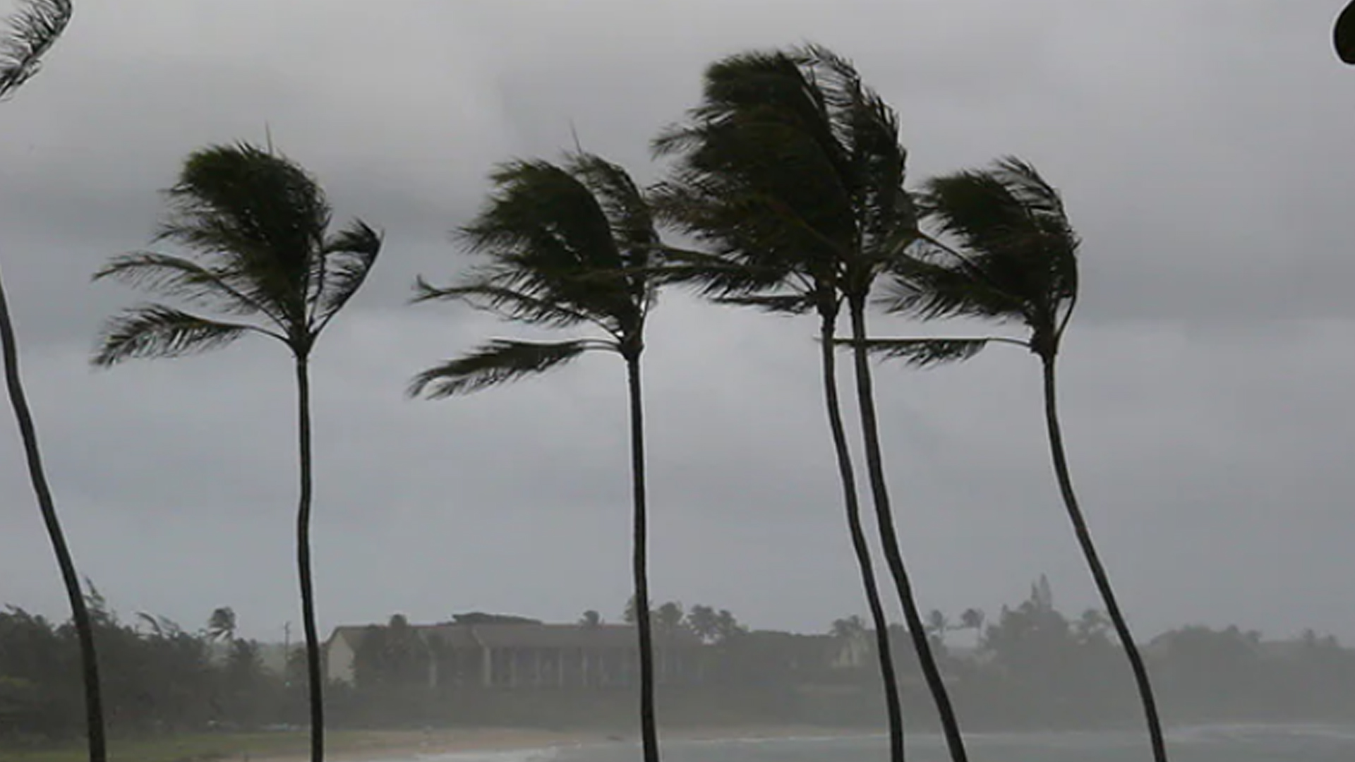 Cyclone Dana: Schools To Remain Shut From Oct 23 To 26 In West Bengal