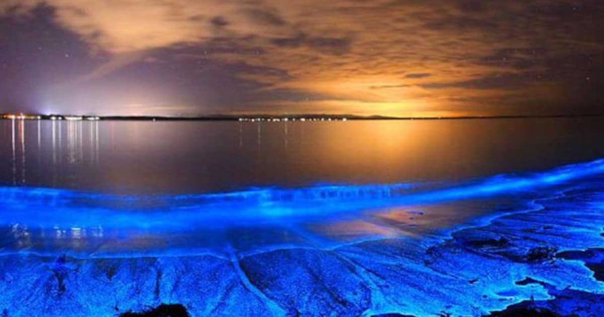 5 Indian Beaches That Glow In The Dark