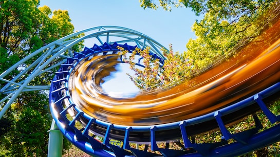 world's best roller coaster