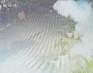 CCTV Shows Man Throwing Bomb Outside Rapper Badshah's Club In Chandigarh