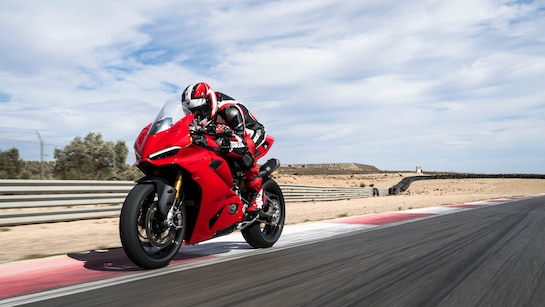 panigale 2024