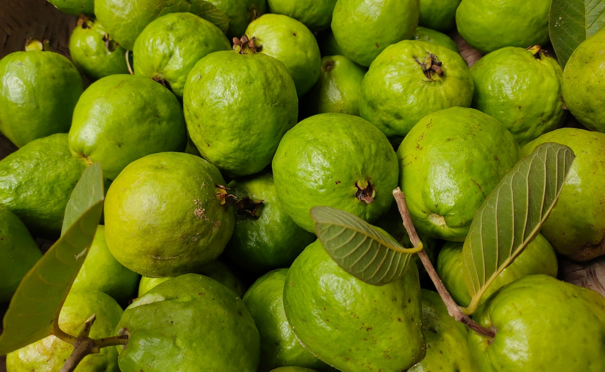 Grilled Guava: Here's How Bhuna Amrood Can Boost Your Health
