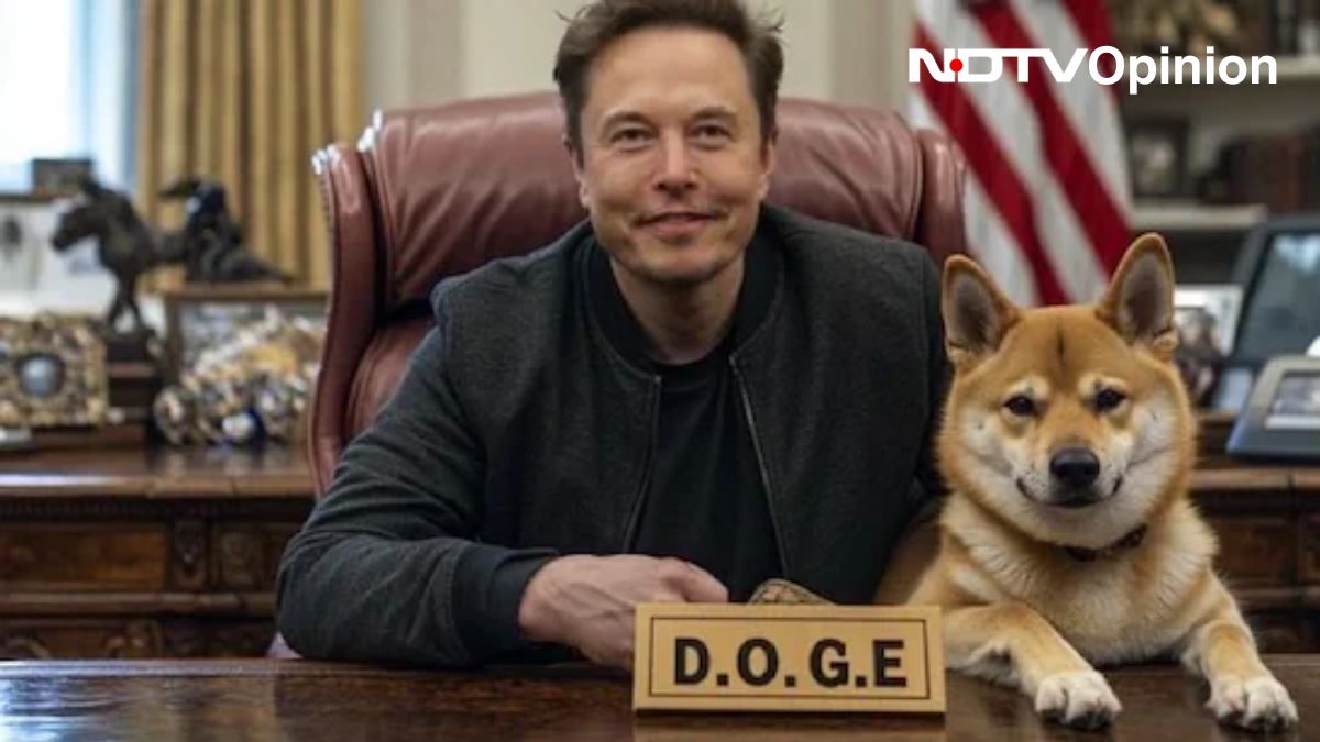 Will Trump s DOGE Be A Failed Experiment Will Trump s DOGE Be A Failed Experiment