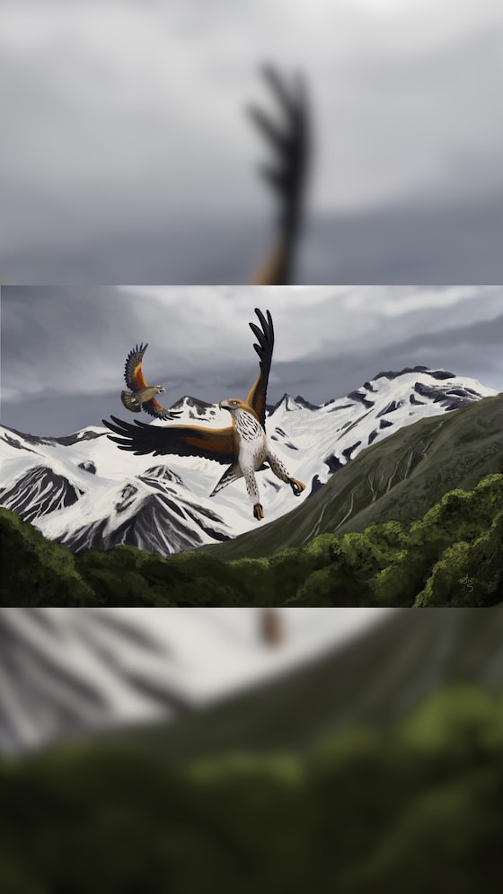 haast eagle extinction date