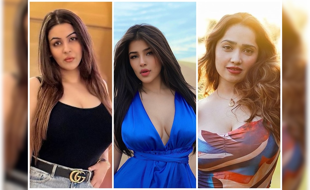 Bigg Boss 18 : Edin Rose, Yamini Malhotra And Aditi Mistry Shake Things Up As Wild Card Entries