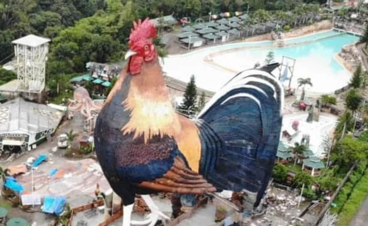 This Hotel Is Officially The World's Largest Building Shaped Like A Chicken