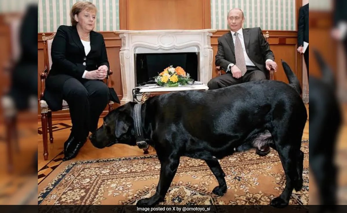 "Angela, Please Forgive Me": Putin, Ex German Chancellor And A Dog Incident