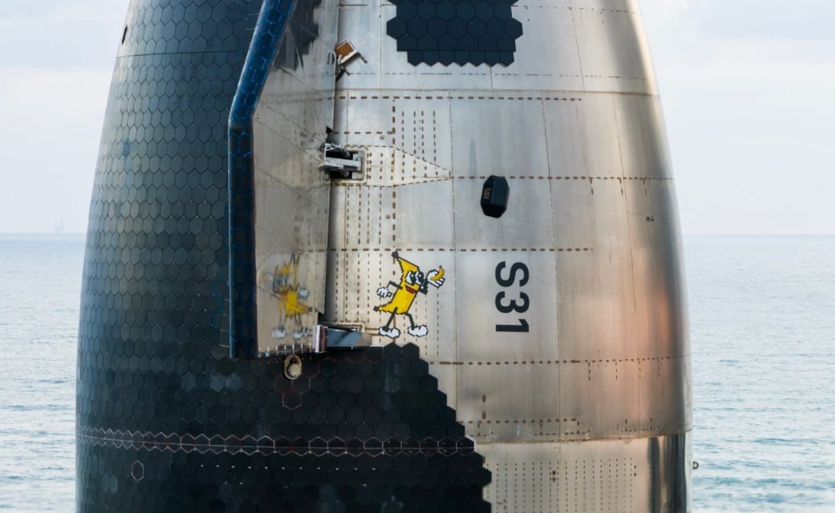 SpaceX Put A Banana Sticker On Its Starship. Here's Why