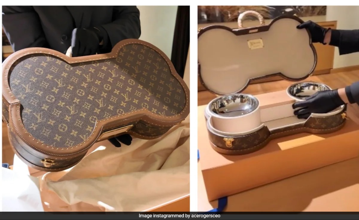 Indian CEO Spends Rs 14 Lakh On Louis Vuitton Pet Accessory, Internet ...