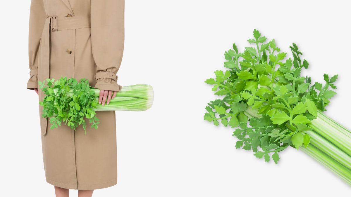 Moschino Introduces Food-Inspired Celery Clutch At A Whopping Price Of ...