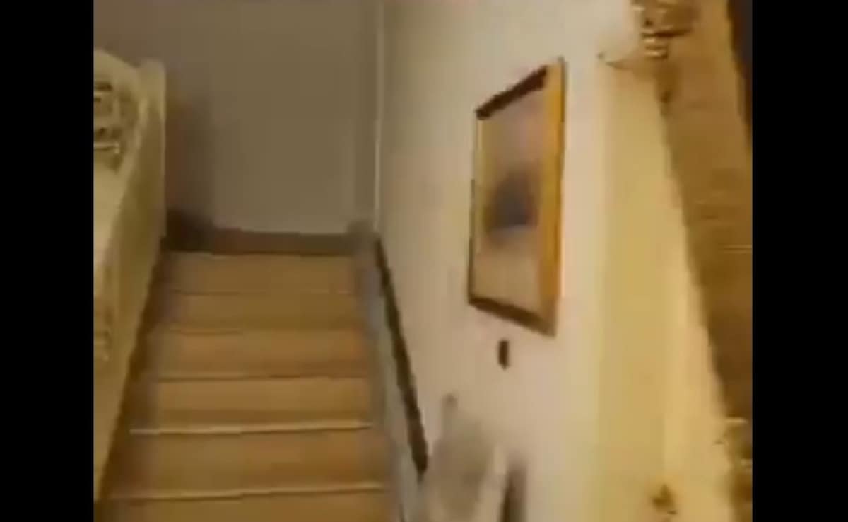 Video: Syria Rebels Inside Presidential Palace, Tear Bashar Al Assad ...