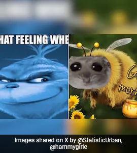Hrc Memes