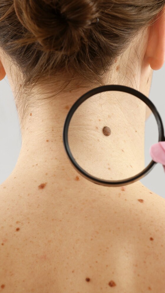 Web Stories | मराठी वेब स्टोरीज | News Web Stories | Marathi News ...