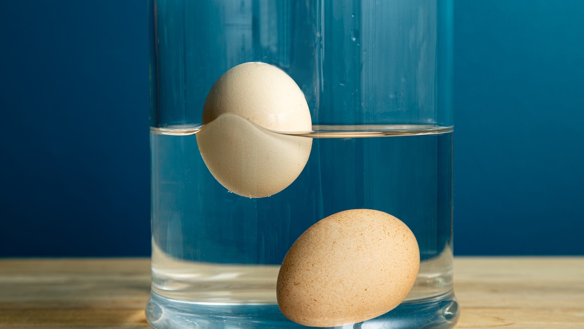 Can The Egg Floating Test Determine Its Freshness? Heres What It Really ...
