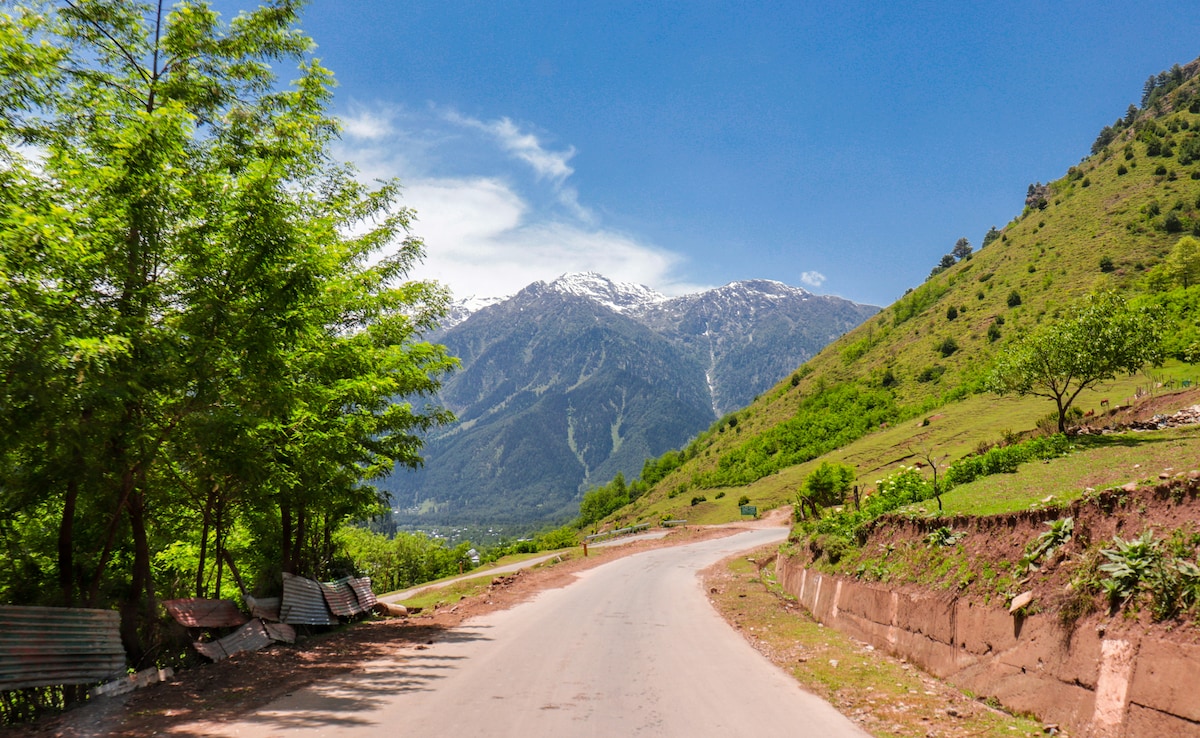 Viral Videos And Stories That Captivated Travel Lovers In 2024